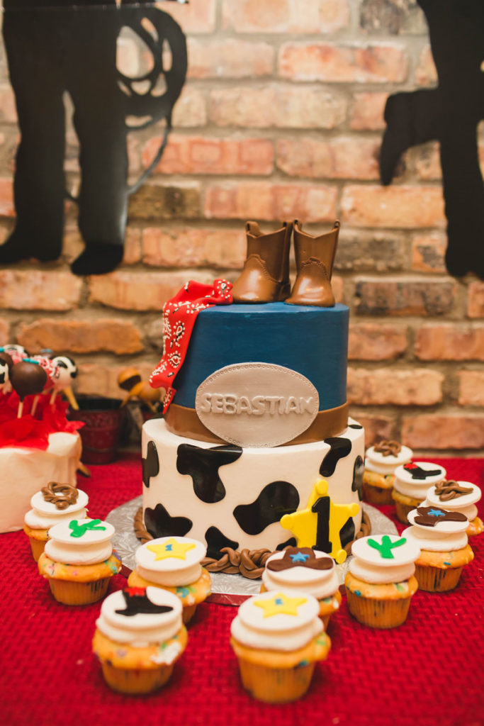 Sebastian Cowboy Cake Smash Birthday Party - Dallas, Texas Fine Art ...